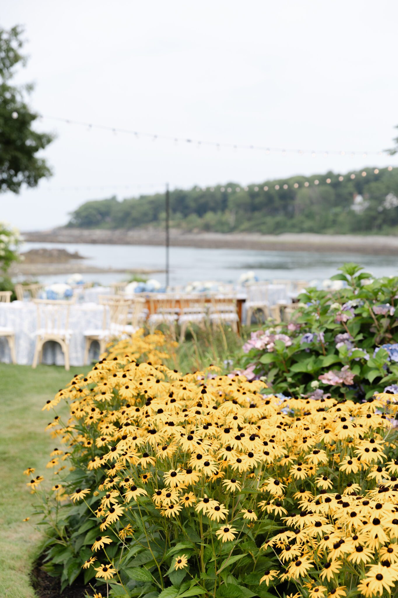 Wedding Welcome Party